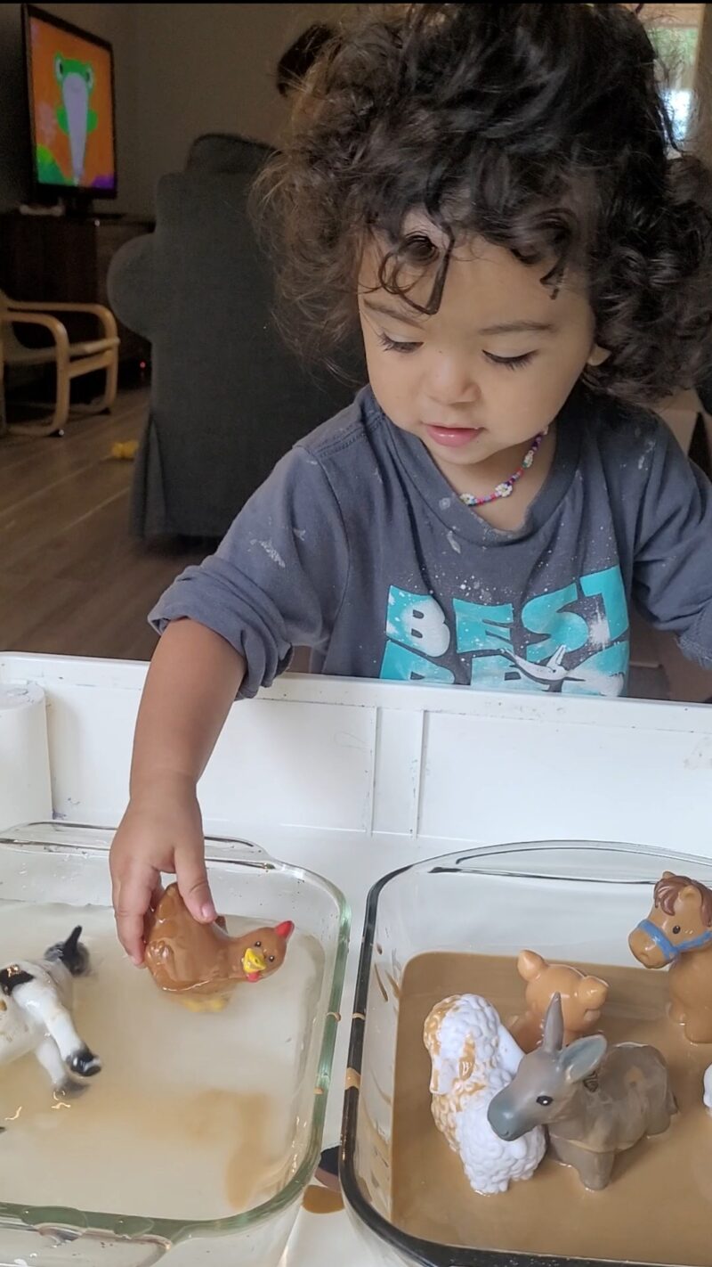 Taste-Safe Mud Sensory Play - Little Lions Academy